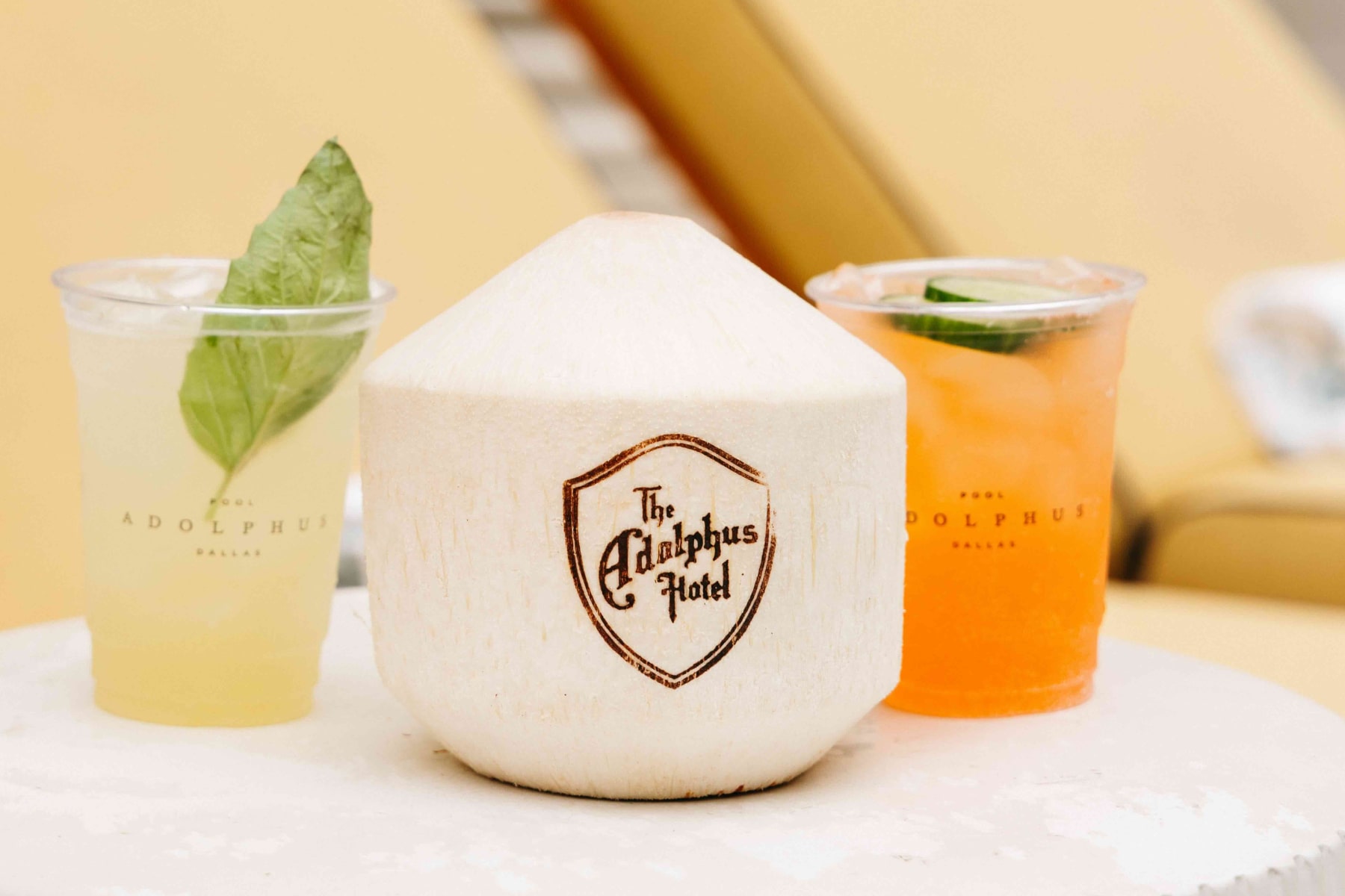 Downtown Dallas Hotel with Rooftop Pool | The Adolphus Hotel