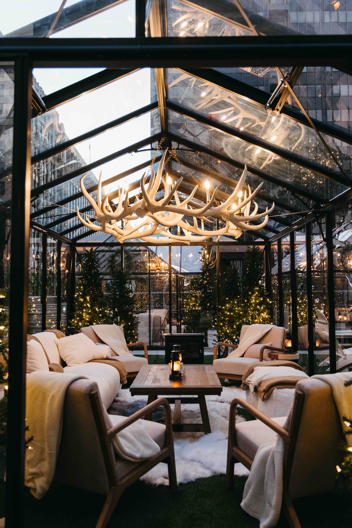 Downtown Dallas Hotel with Rooftop Pool | The Adolphus Hotel