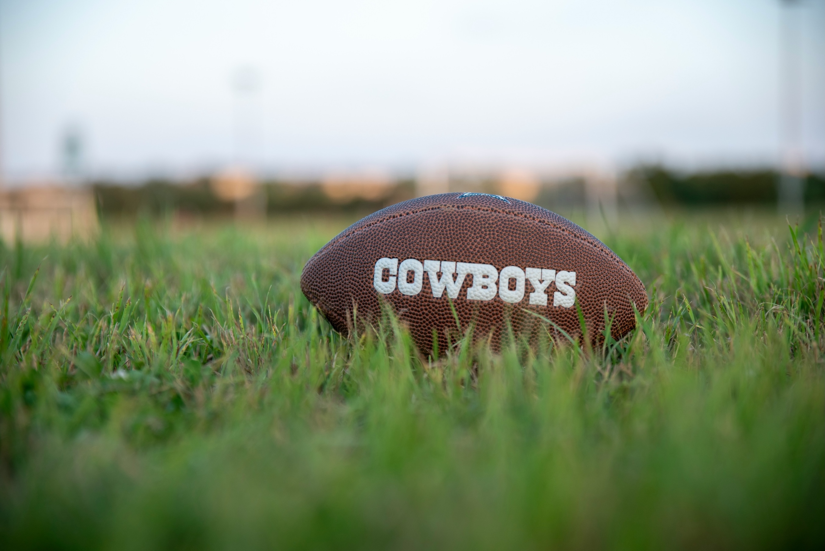 Sports and Entertainment Guide in Dallas | The Adolphus Hotel